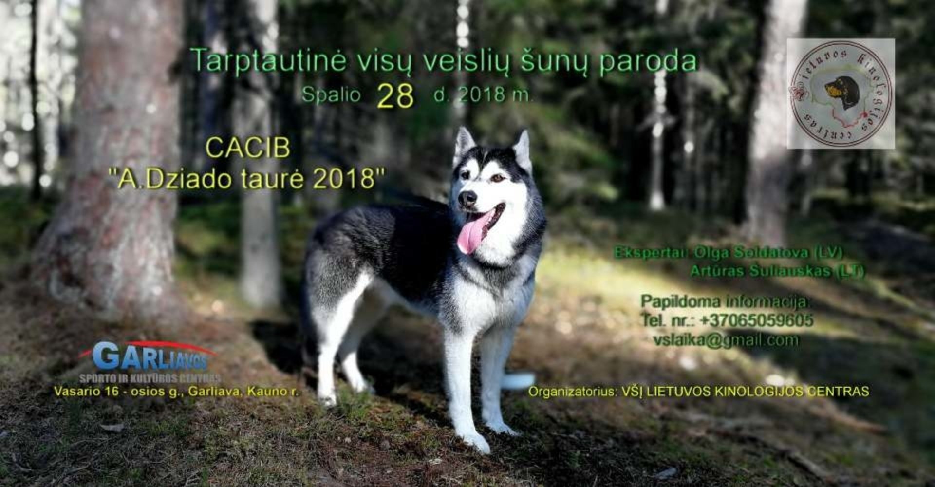 Tarptautinė visų veislių šunų paroda | Kauno rajonas